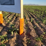 SSTA - Sure Shot Target Anchor | DOA Shooting Bench